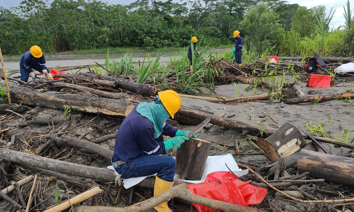 Para mayor información: